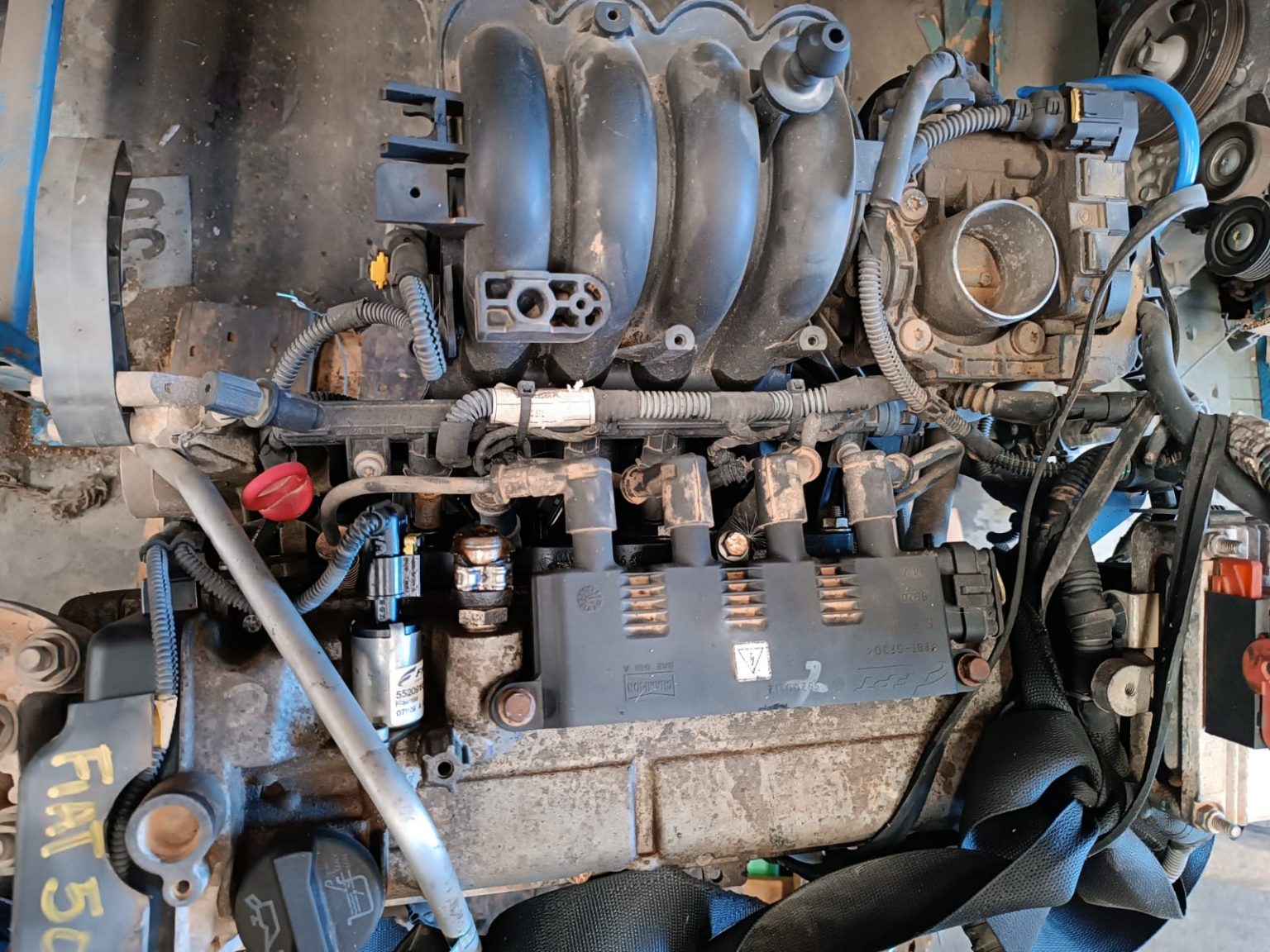 MOTOR FIAT 500 1.2 C.C TIPO MOTOR 169A4000 - MOTORES GRX